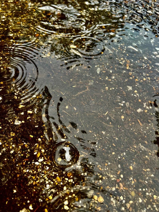 Raindrops Creating Ripples on a Puddle Stock Photo - Image of soil ...