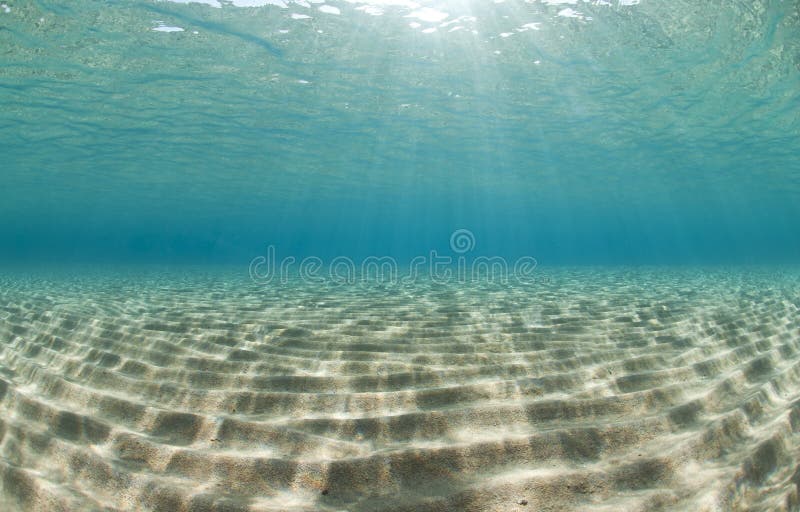 Ripples of Sunlight Reflected on the Ocean Floor. Stock Photo - Image ...