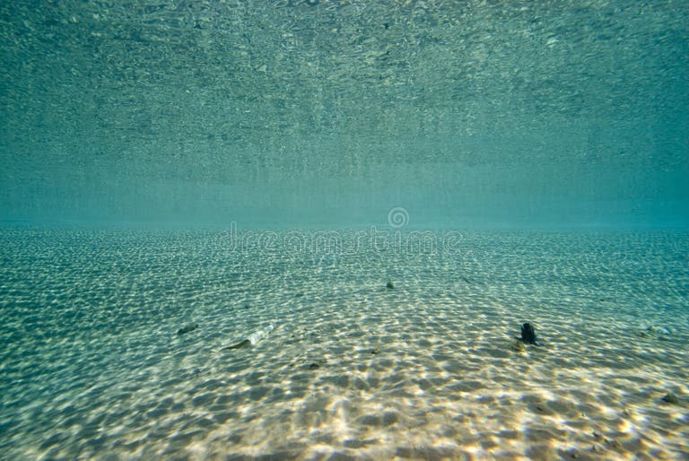 Ripples of Sunlight Underwater Stock Photo - Image of lagoons, angle ...