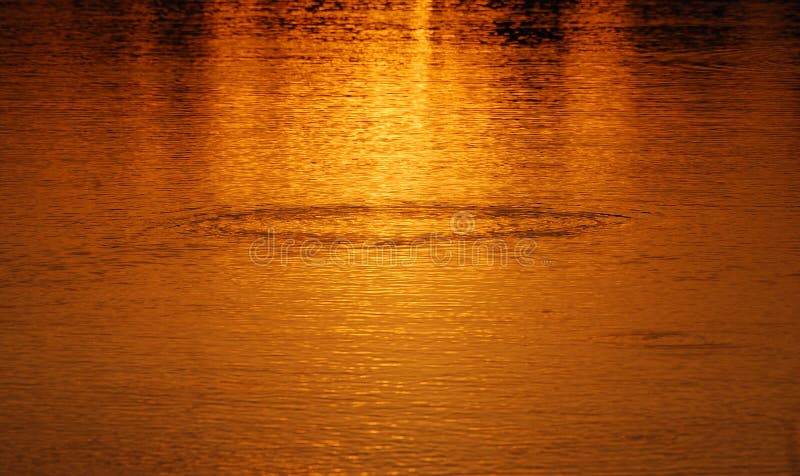 Ripples at sunset stock image. Image of calm, dusk, pond - 3020211