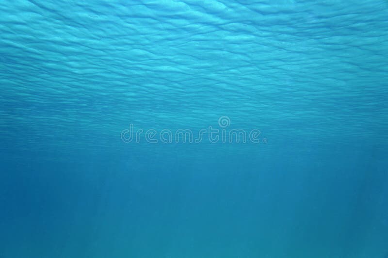 Underwater Ripples of Sunlight in Clear Shallow Water Stock Image ...