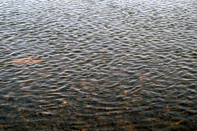 Ripples on Water, Calmness on River, View of Reservoir from the Shore ...
