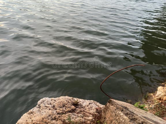 Ripples of Water on the Edge of a Sparkling Black Lake Stock Image ...