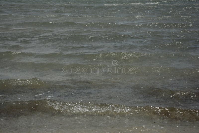 Ripple effect in waves stock image. Image of ripple - 195790123