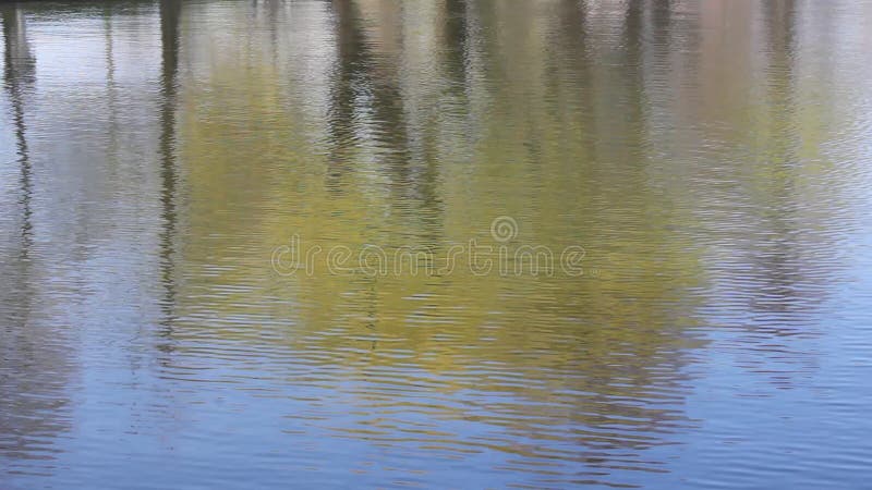 Ripples of Water from the Current of a Calm Flowing River Stock Footage ...