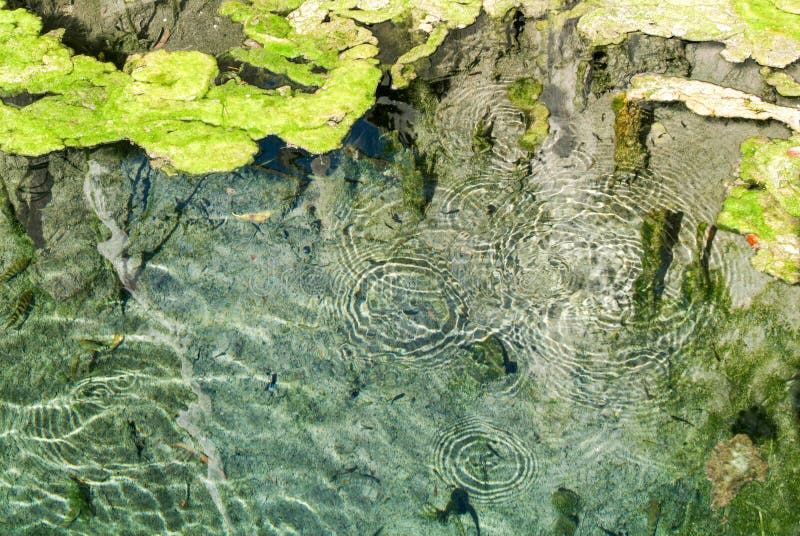 Ripples on water stock image. Image of fresh, clean, rippled - 83249023