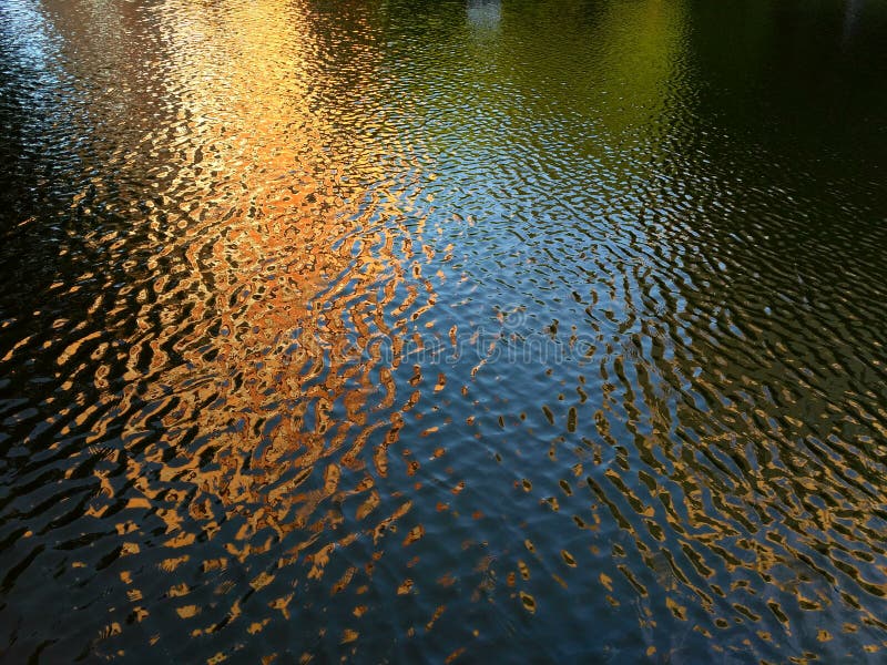 Ripples on the Water in the Pond J Stock Image - Image of geology ...