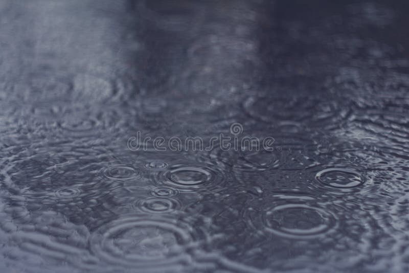 Ripples in the Water during a Rain Stock Photo - Image of ripple, rain ...