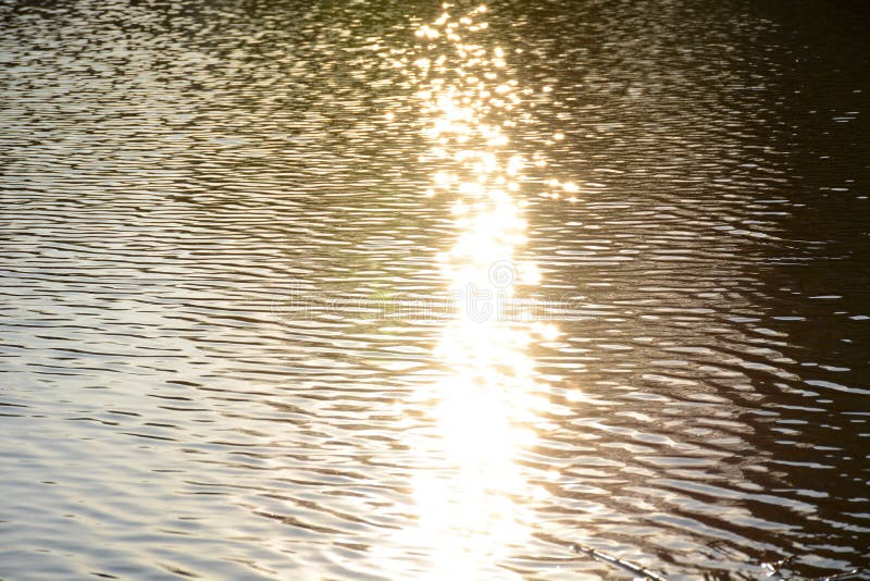 Ripples on the Water and Reflection of the Rays of the Setting Sun ...