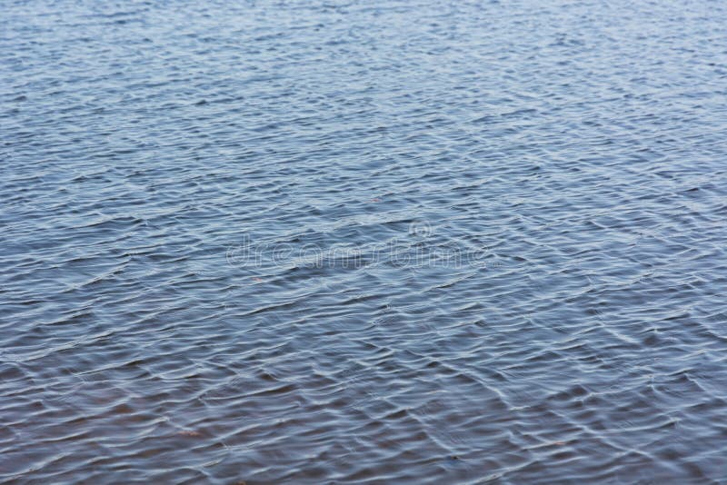 Ripples on the water. stock photo. Image of ripples, pattern - 51529674