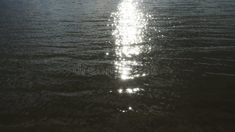 Ripples on the Water. the Sun S Rays Fall on the Surface of the River ...