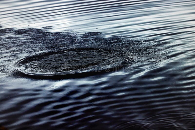 Ripples on water surface stock image. Image of outdoors - 263113325
