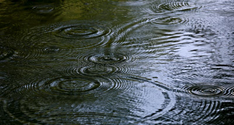 Ripples on a water surface stock photo. Image of ripple - 124189470