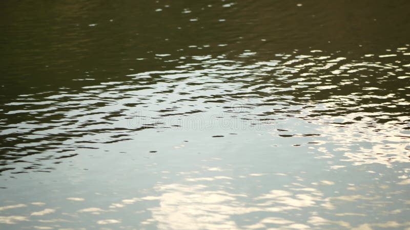 Ripples on Water Surface with the Reflection of Sky and Clouds. Clouds ...