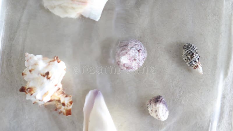Ripples on the Water Surface with Shells and Sand.. Stock Video - Video ...