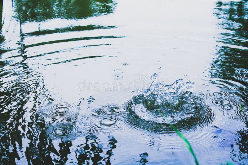Ripples in the water stock photo. Image of away, throw - 89952106