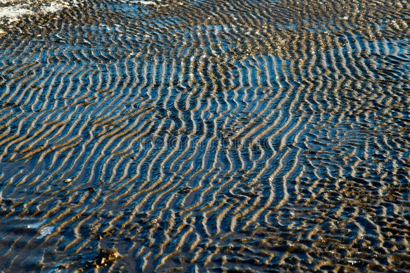 Ripples in Wet Sand stock image. Image of curve, brown - 359106003