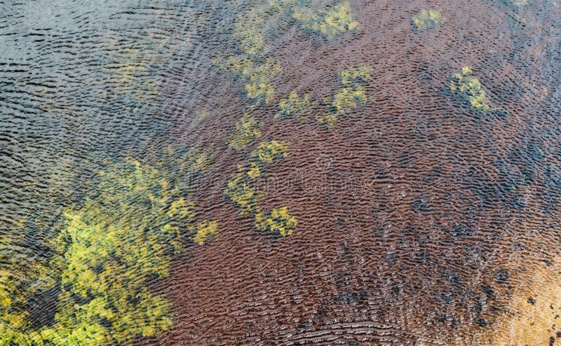 Ripples from the Wind on the River Stock Image - Image of clean ...