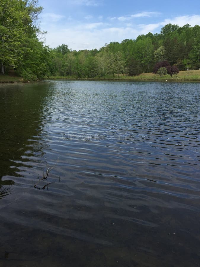 Rippling lake stock image. Image of trees, lake, green - 74368933