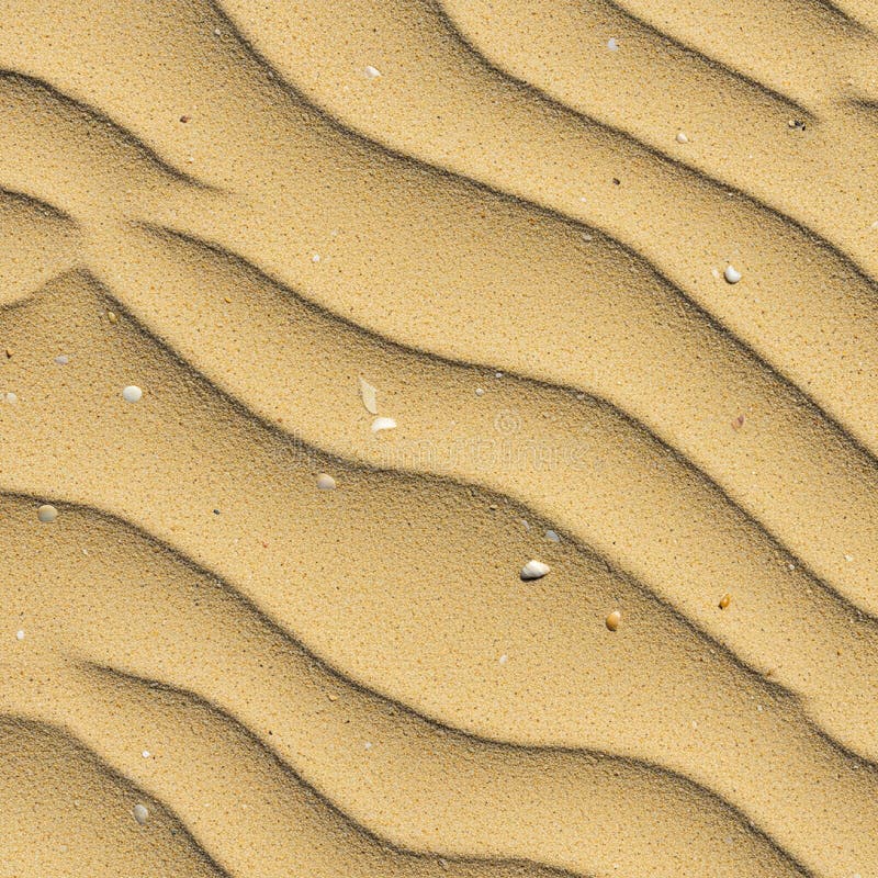 Rippling Patterns of Sand with Soft, Wavy Lines Create an Undulating ...