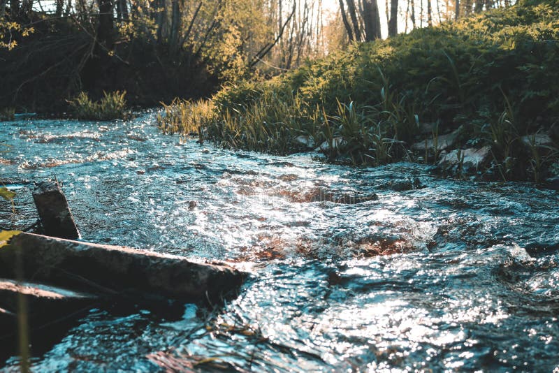 Rippling River with Lush Greens on Both Sides, Shot on Early Morning ...