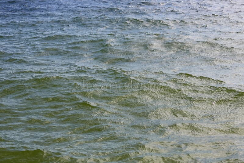 Rippling sea water stock image. Image of wind, poland - 250698431