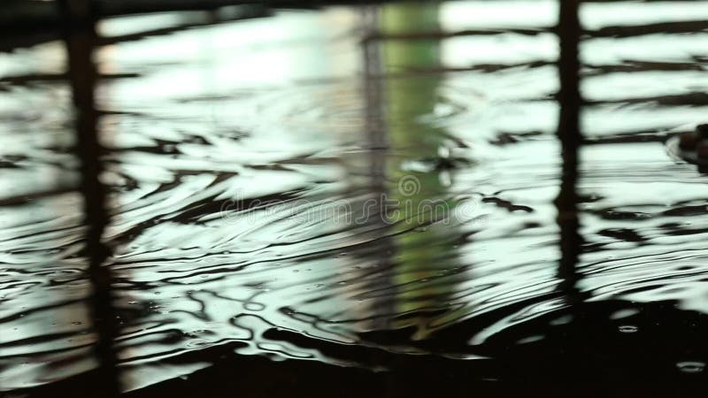 Rippling water stock footage. Video of drip, drops, shadows - 77001958