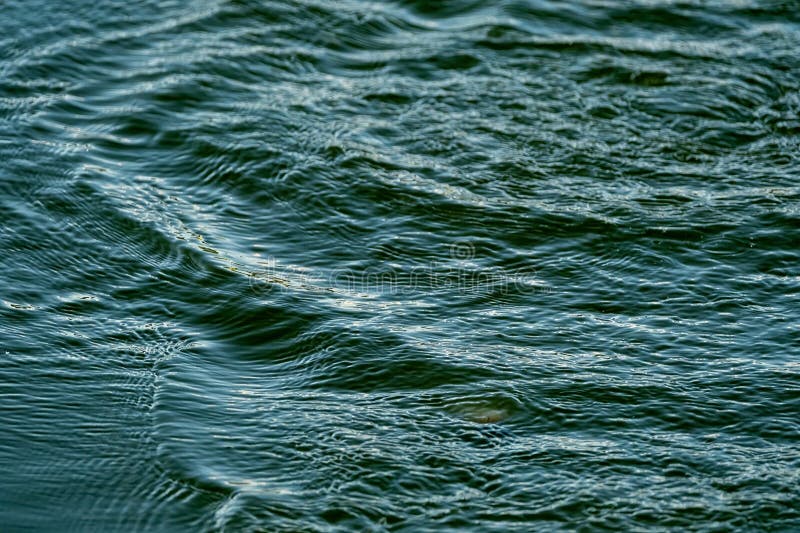 Rippling Water Surface in Natural Light Stock Image - Image of pond ...