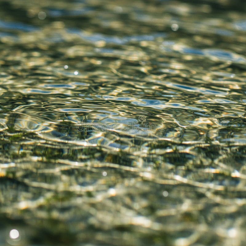 Rippling Water Surface Shimmering Under Sunlight, Creating Wavy ...