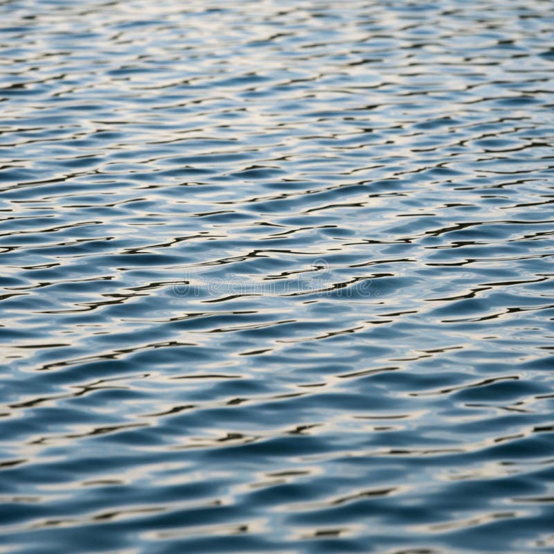 Rippling Water Surface with Small Waves Reflecting Light. the Water ...