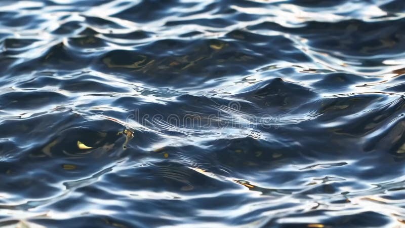 Rippling Water Surface with Sunlight Reflections, Serene and Calming ...