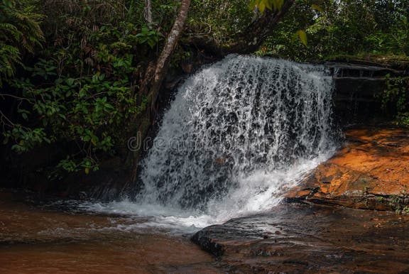 Rippling Waterfall Falling Voraciously in the Middle of the Forest ...