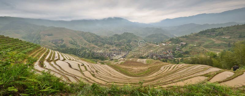Risaie Di Longsheng in Cina Fotografia Stock - Immagine di cinese ...