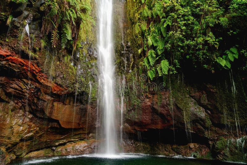 The Risco Waterfall in Rabaçal in Madeira during the Spring. Stock ...