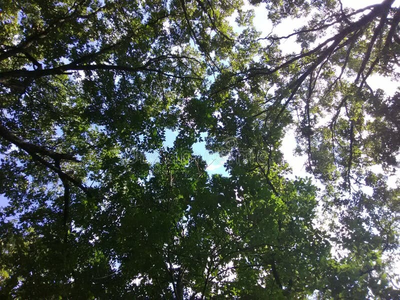 Rise and fall stock image. Image of rise, tops, ozarks - 139973735