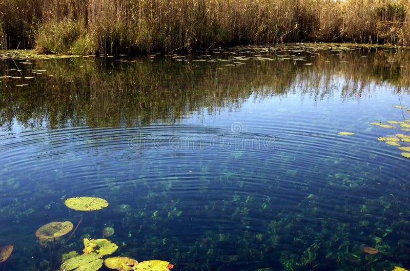 Marico River Stock Photos - Free & Royalty-Free Stock Photos from ...