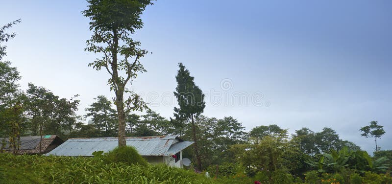 Rishop Landcsape stock image. Image of bengal, landscape - 21884823