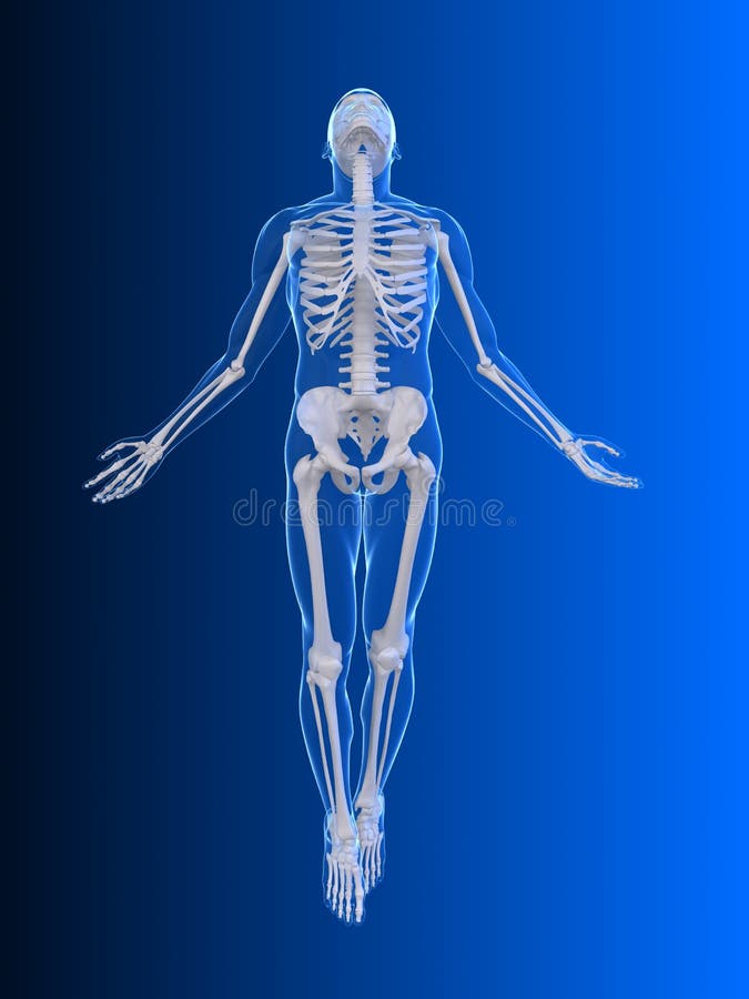Rising body - x-ray stock illustration. Illustration of science - 15433812