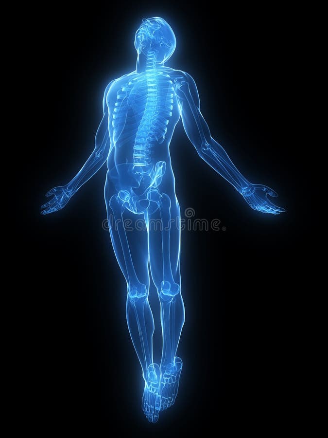 Body Stock Illustrations – 1,023,327 Body Stock Illustrations, Vectors ...