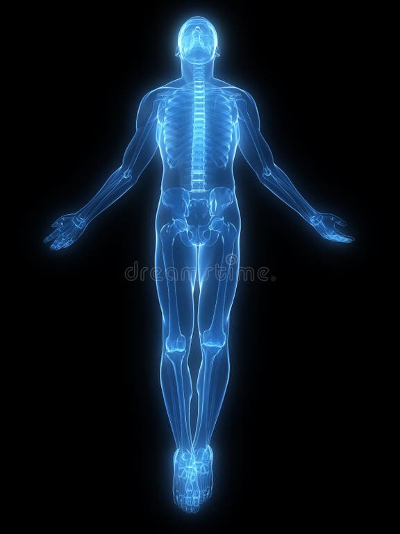 Rising body - x-ray stock illustration. Illustration of skull - 15434921