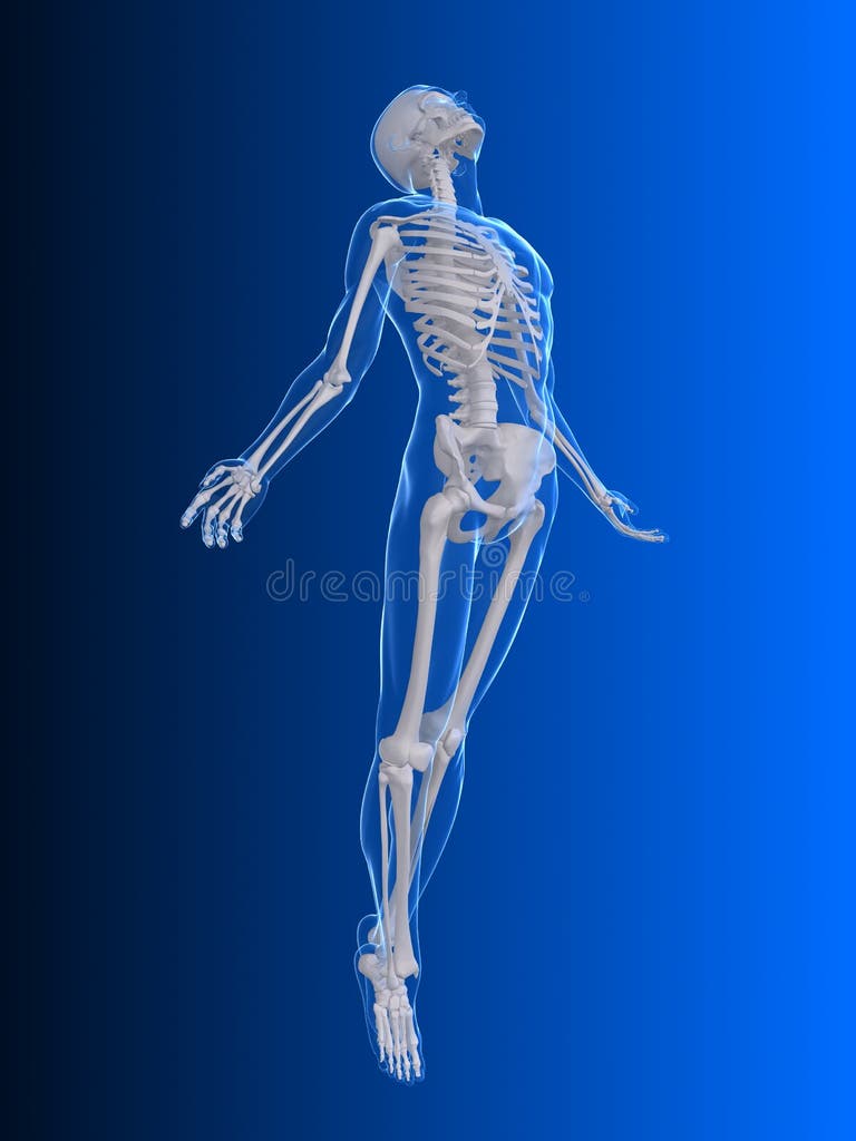 Body Male Rise Stock Illustrations – 214 Body Male Rise Stock ...