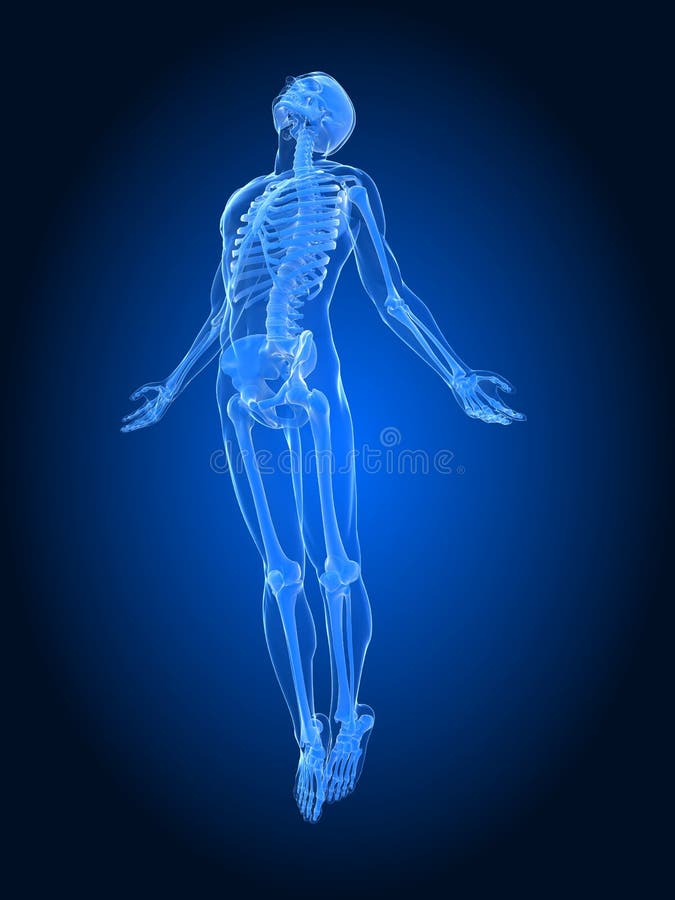 Rising body - x-ray stock illustration. Illustration of spread - 15434960