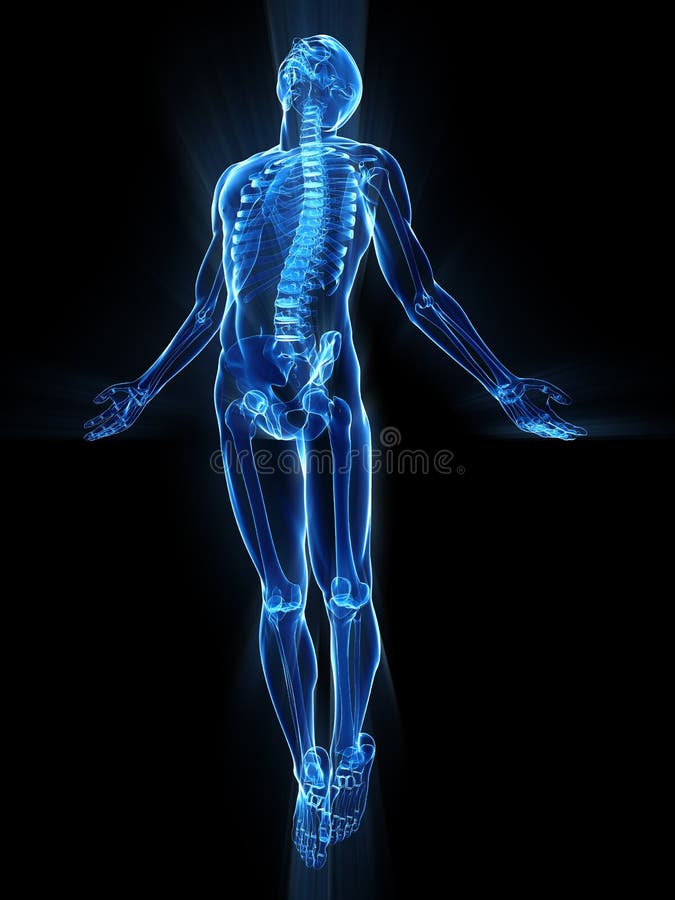 Anatomy Body Rise Skeleton Stock Illustrations – 63 Anatomy Body Rise ...