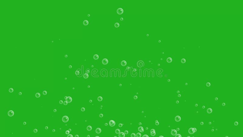 Rising Bubbles Green Screen Motion Graphics Stock Footage - Video of ...