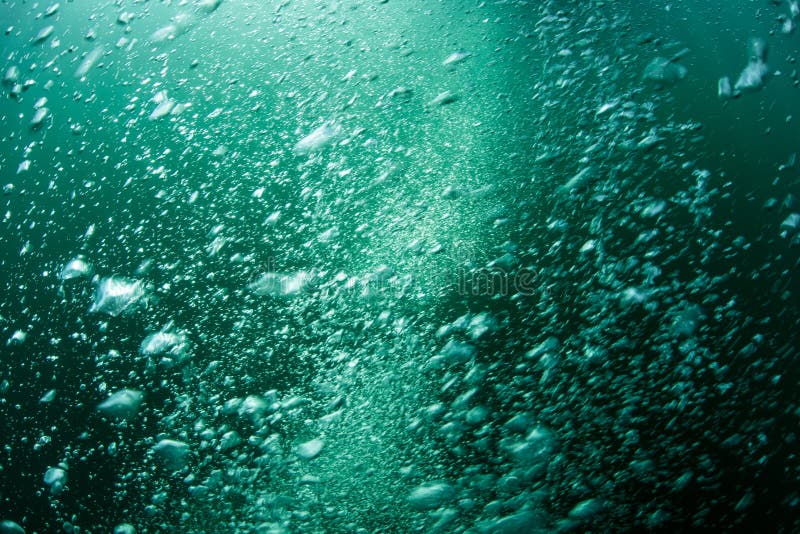 Rising Bubbles stock photo. Image of natural, environment - 53998890