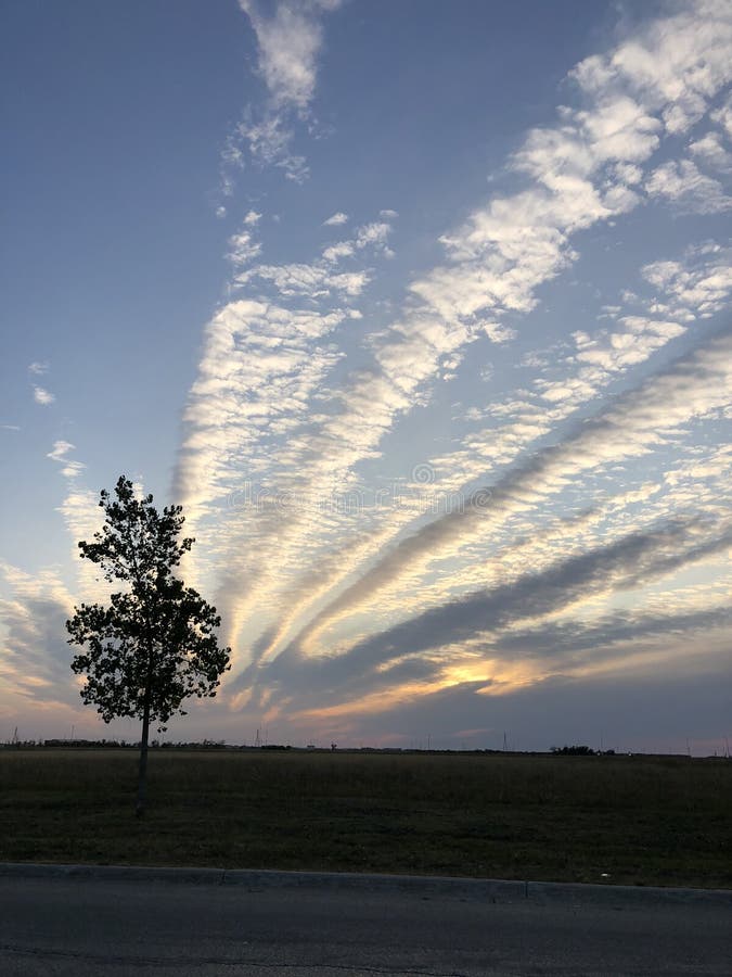The Rising Clouds from the Tree Stock Photo - Image of green, clouds ...