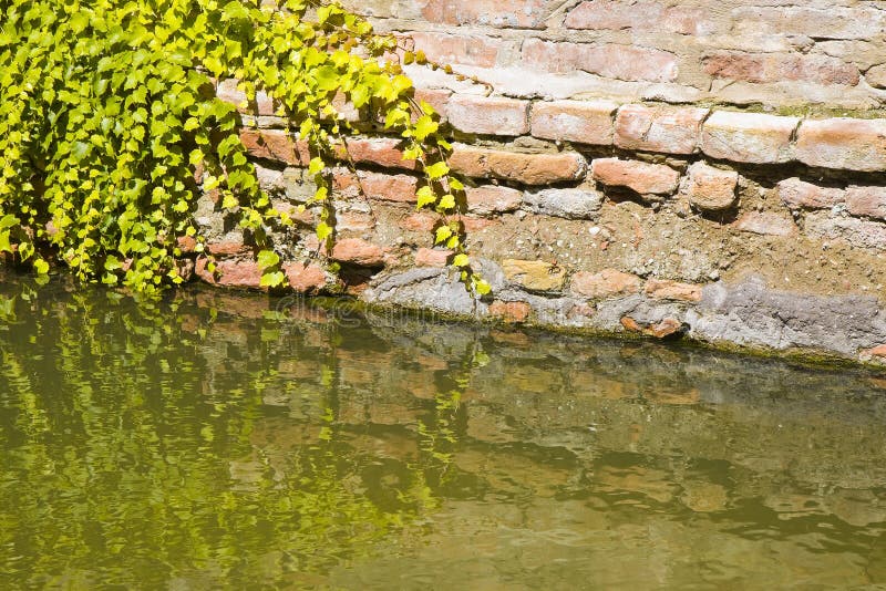 Rising Damp on a Brick Wall in a Channel Full of Water Stock Image ...