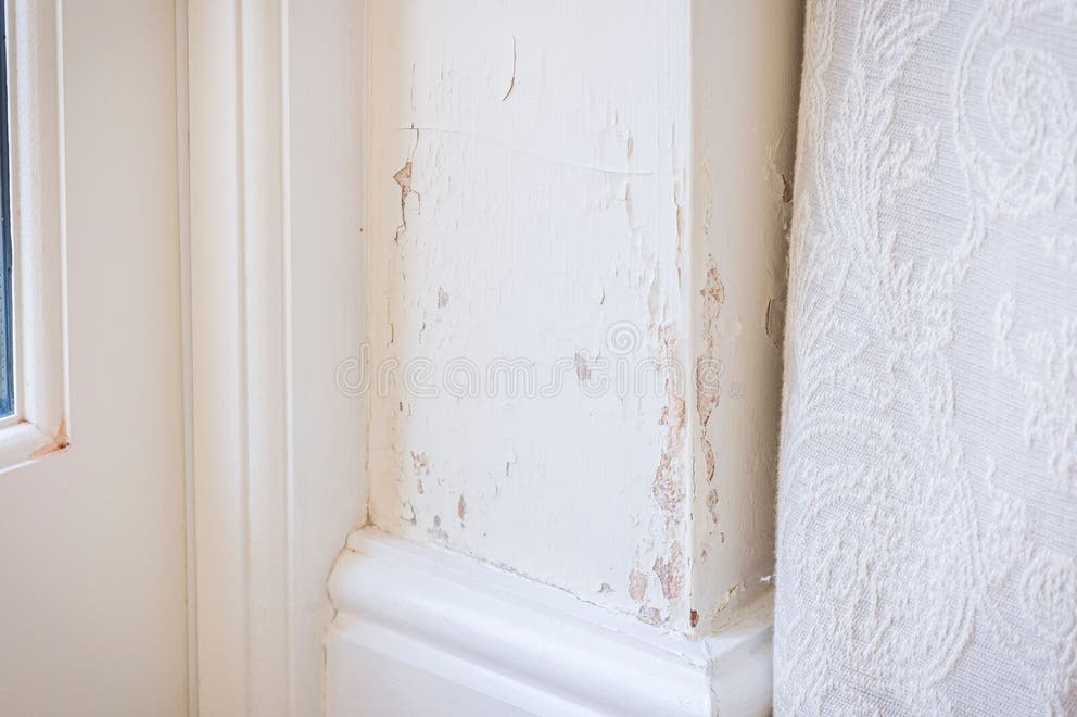 Rising Damp (damp Penetration) in Solid Brick Wall of a UK Home Stock ...