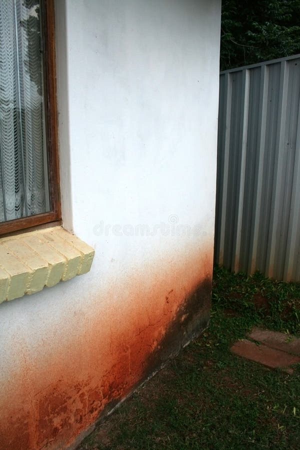 Rising Damp Outside Wall stock image. Image of grass, white - 653145