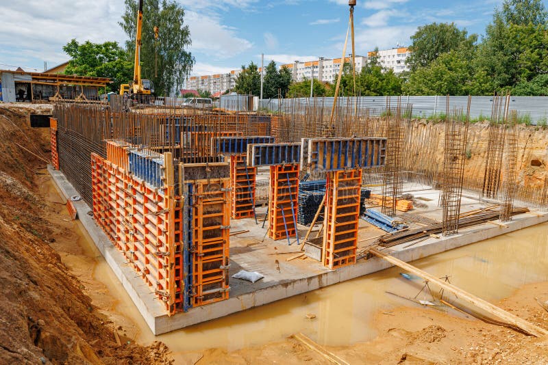 Rising Dreams: a Foundation in Progress Amidst the Embrace of ...